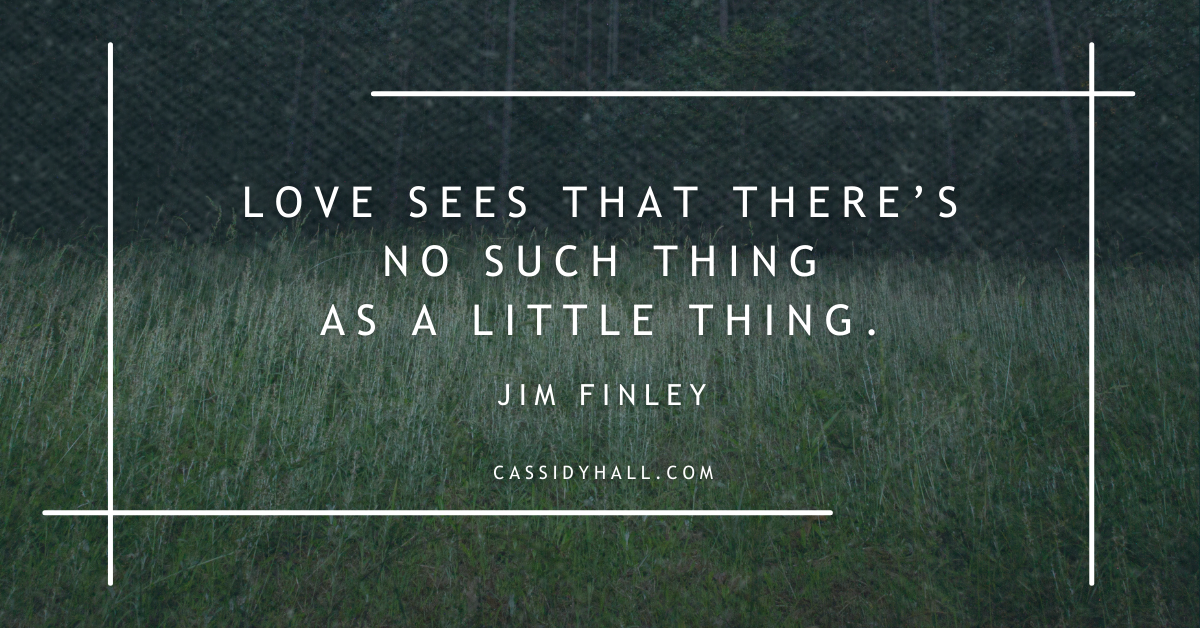 Love Sees That There’s No Such Thing as a Little Thing – Cassidy Hall ...